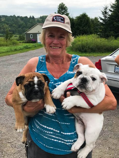 30 Years of Professional Dog & Puppy Behaviourist | Ontario Dog Trainer