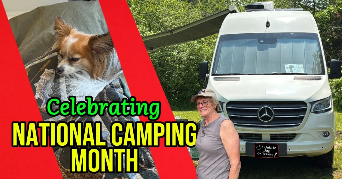 RV Life for Dog Owners: Travel, Work, and Camp With My Dog - Ontario ...